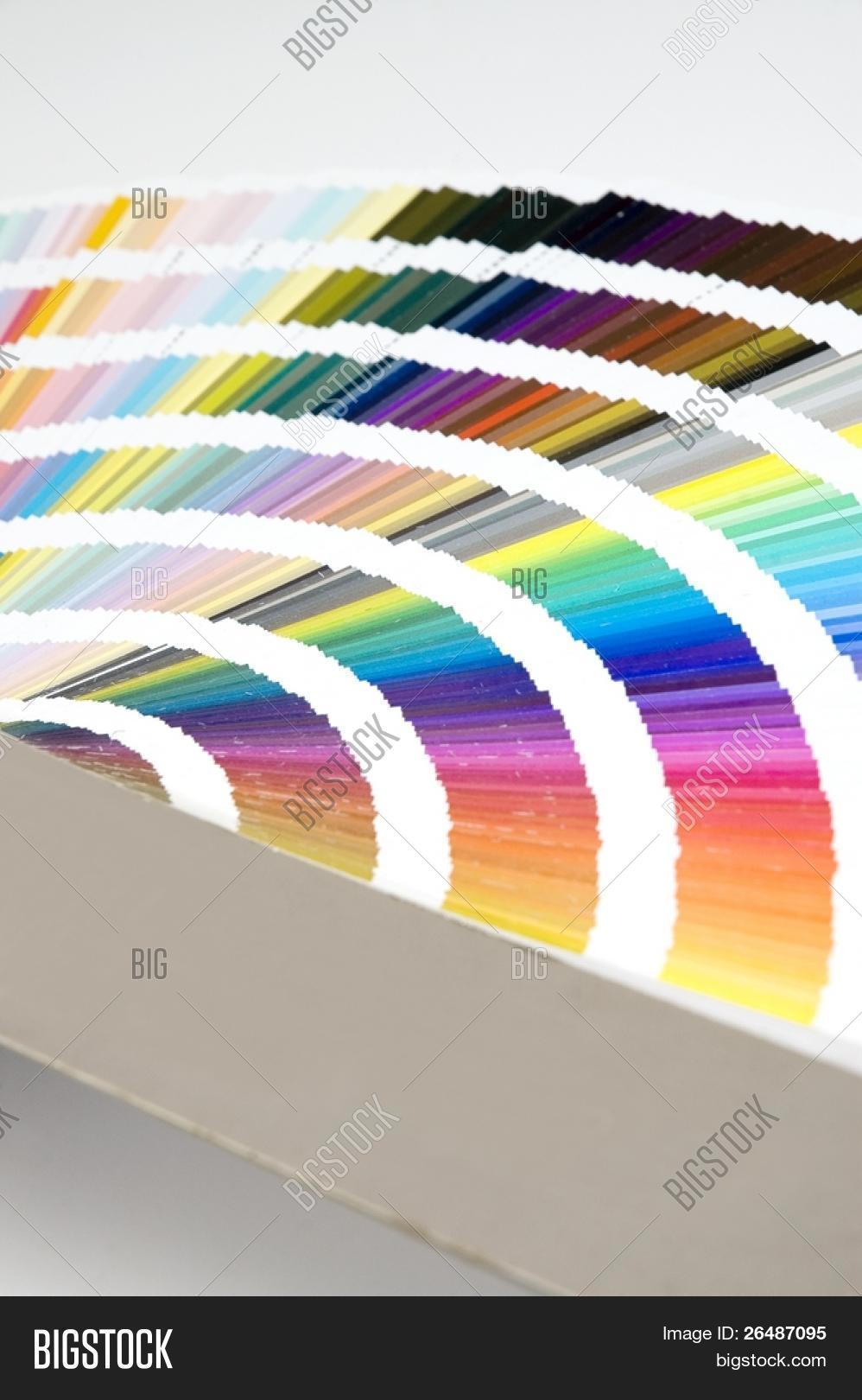 Isolated Color Guide Image & Photo (Free Trial) | Bigstock