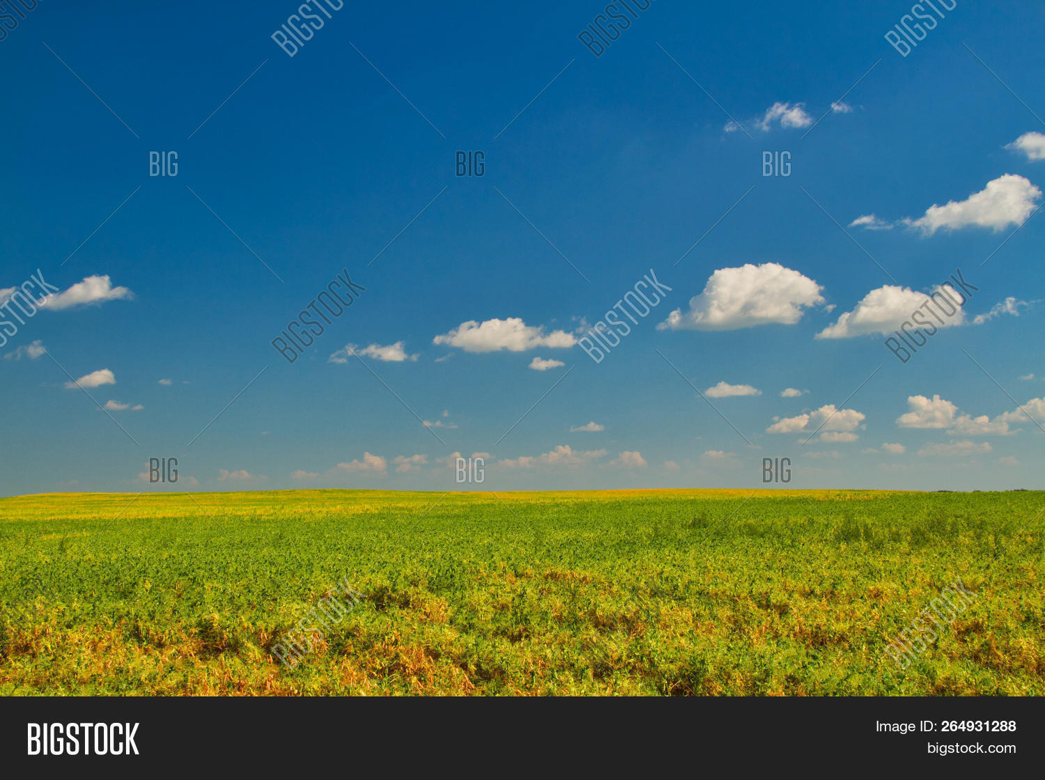Looking Out Over Field Image & Photo (Free Trial) | Bigstock