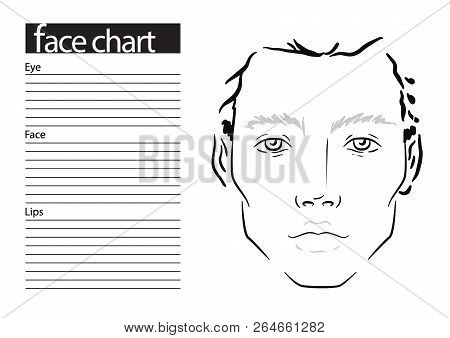 Man Face Chart Makeup Vector & Photo (Free Trial) | Bigstock