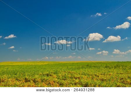 Looking Out Over Field Image & Photo (Free Trial) | Bigstock