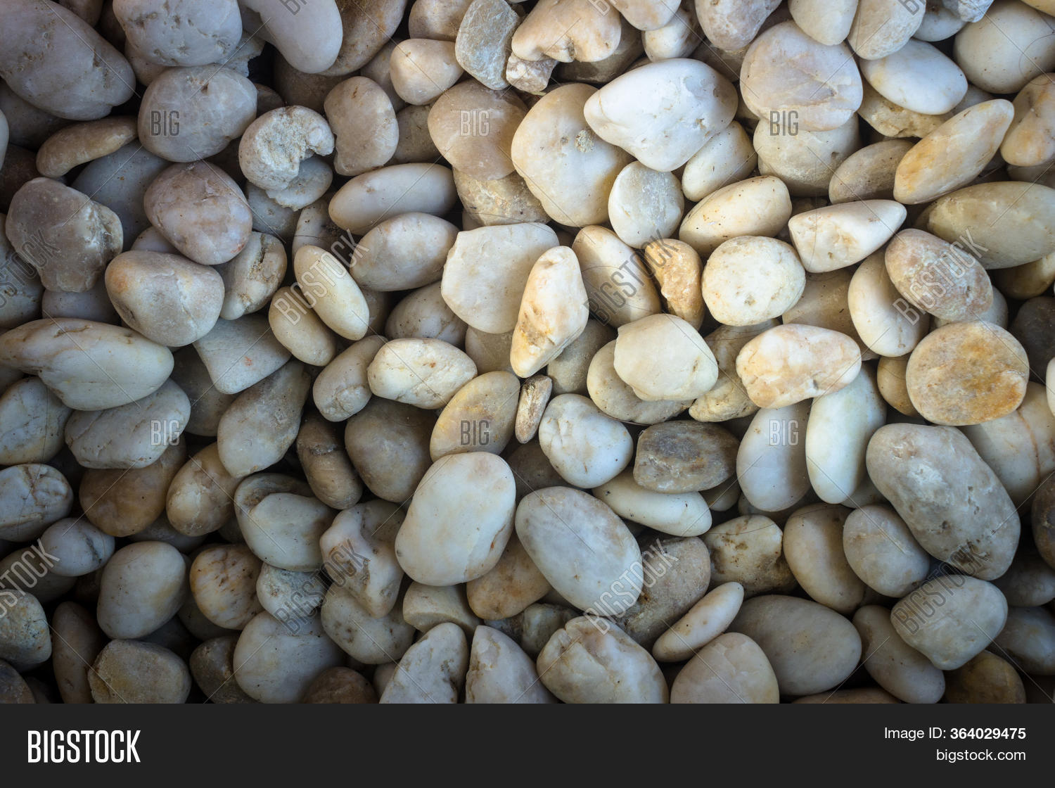 Pebble Stone Texture Image & Photo (Free Trial) | Bigstock