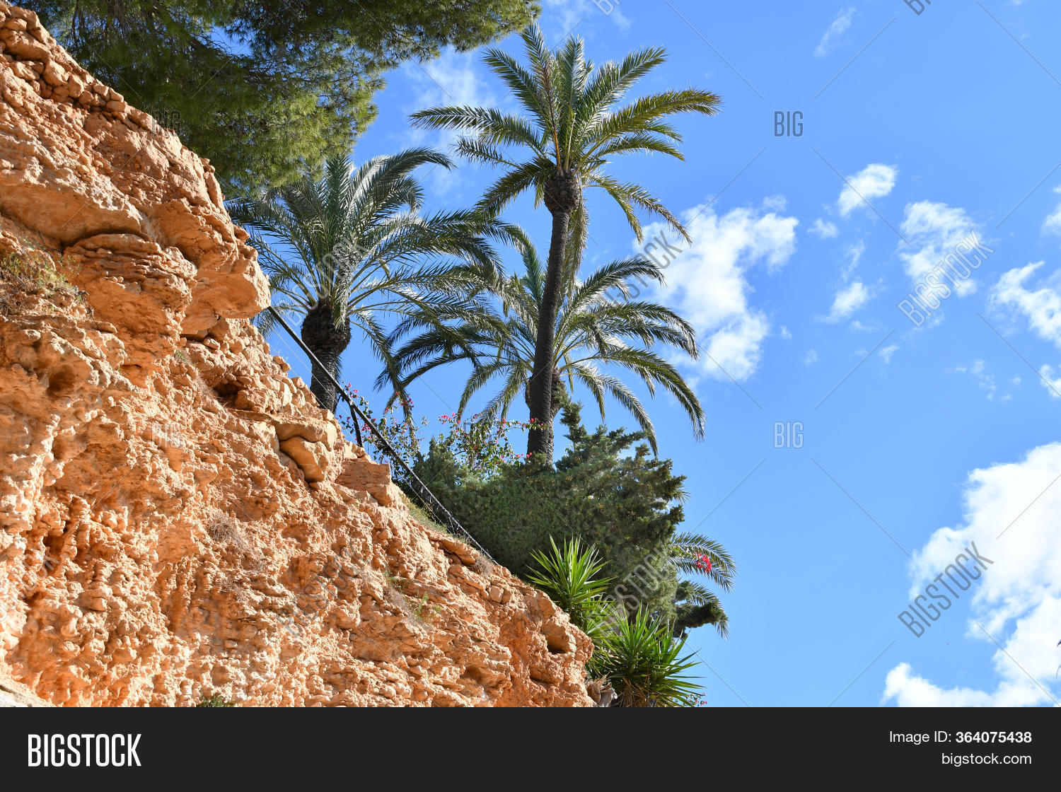 Sandstone Rocks Palm Image & Photo (Free Trial) | Bigstock