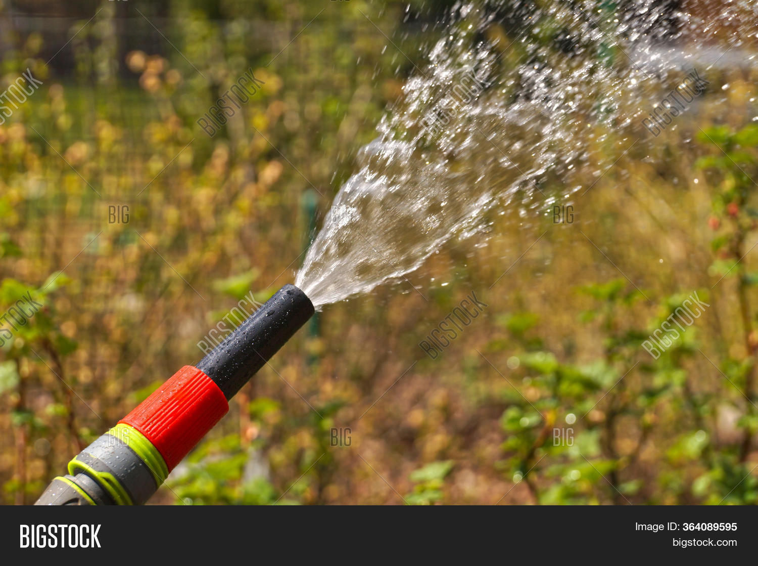 Stream Water Garden Image & Photo (Free Trial) | Bigstock