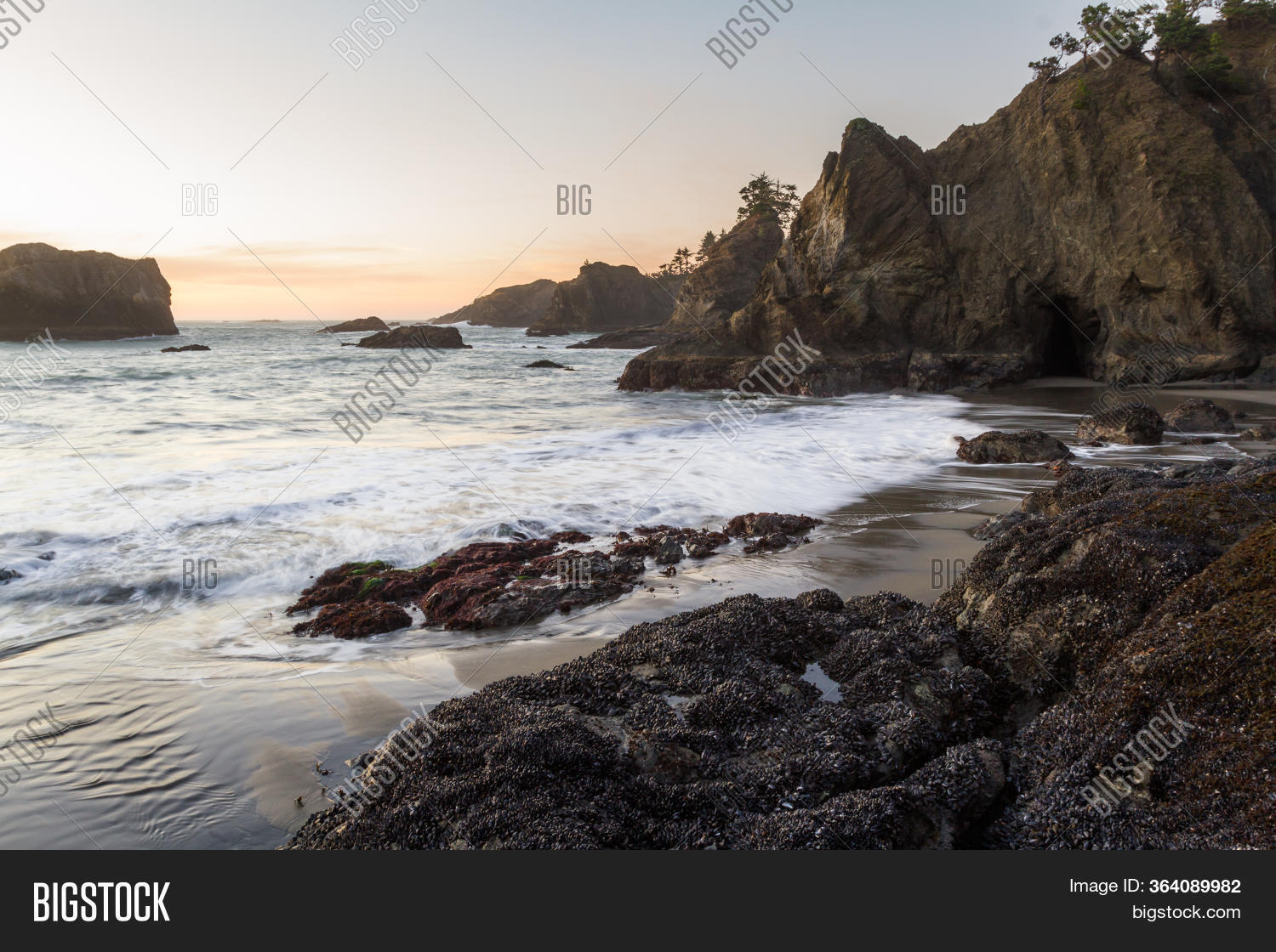 Secret Beach, Oregon Image & Photo (Free Trial) | Bigstock
