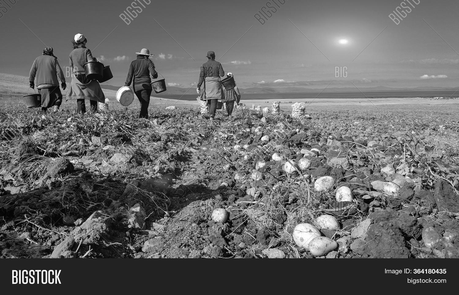 Workers Go Eat After Image & Photo (Free Trial) | Bigstock