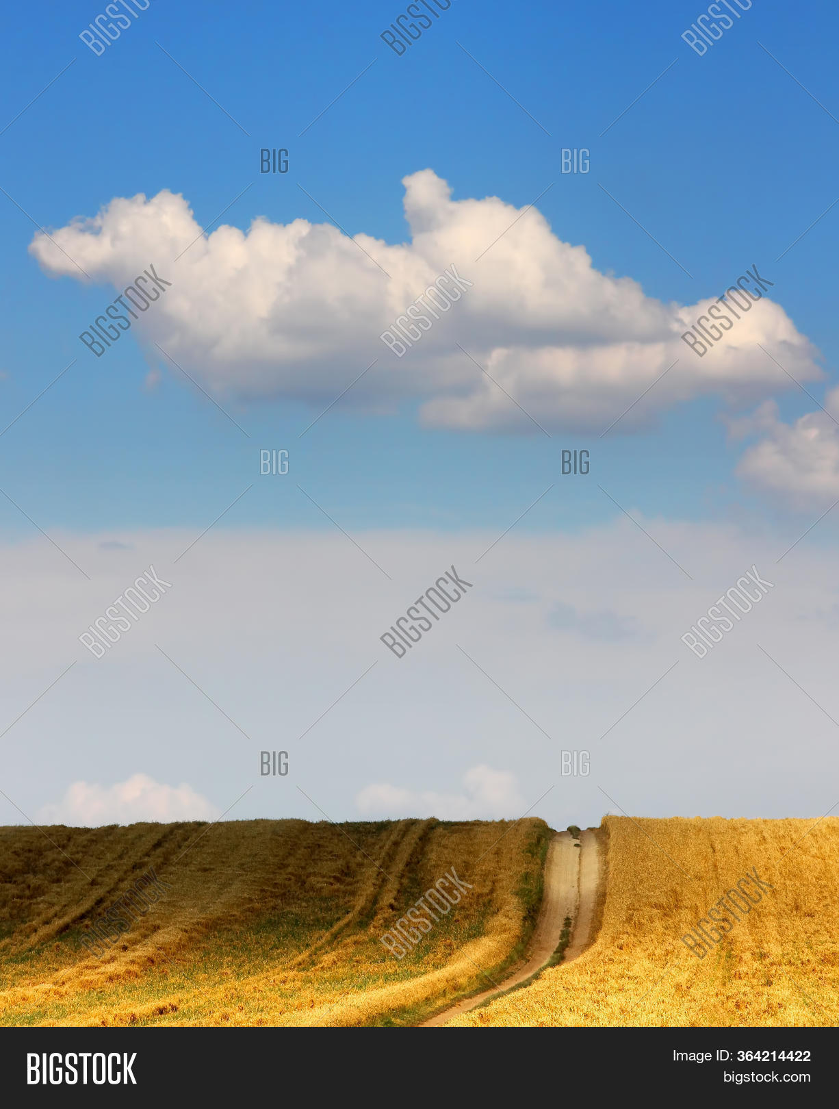 Farm Land Country Road Image & Photo (Free Trial) | Bigstock