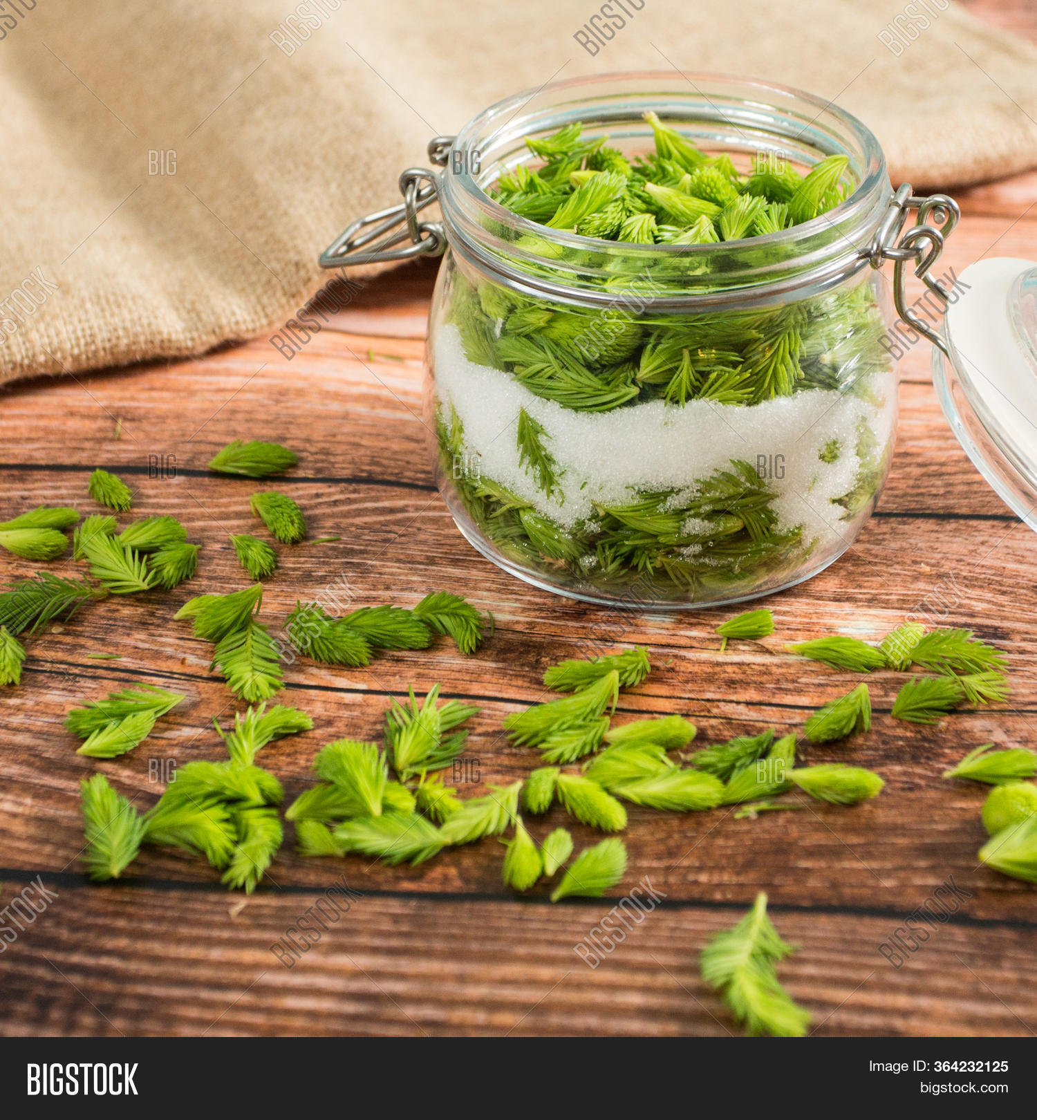 Fresh Pine Needles: We Image & Photo (Free Trial) | Bigstock