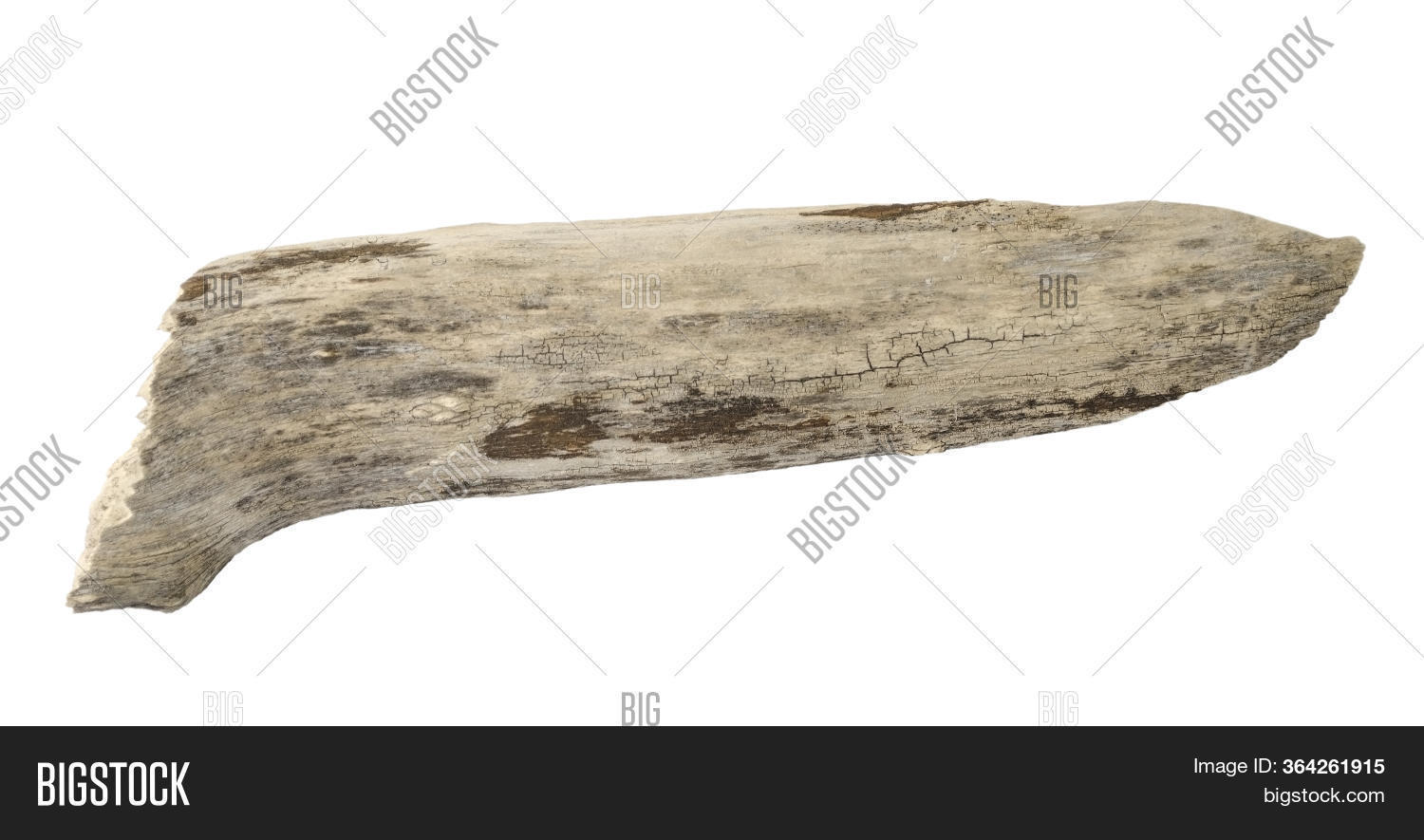 Wooden Splinter Piece Image & Photo (Free Trial) | Bigstock