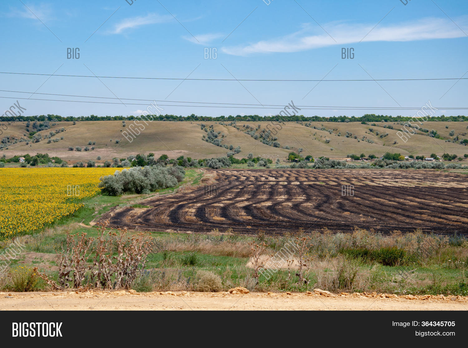 Farmland Fields Rows Image & Photo (Free Trial) | Bigstock