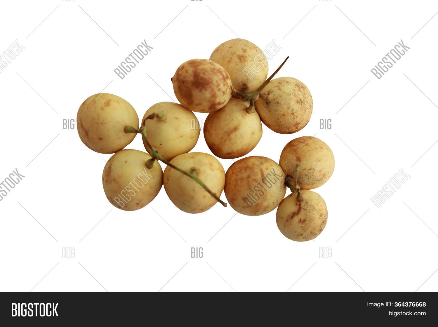 Organic Rambai Fruits Image & Photo (Free Trial) | Bigstock