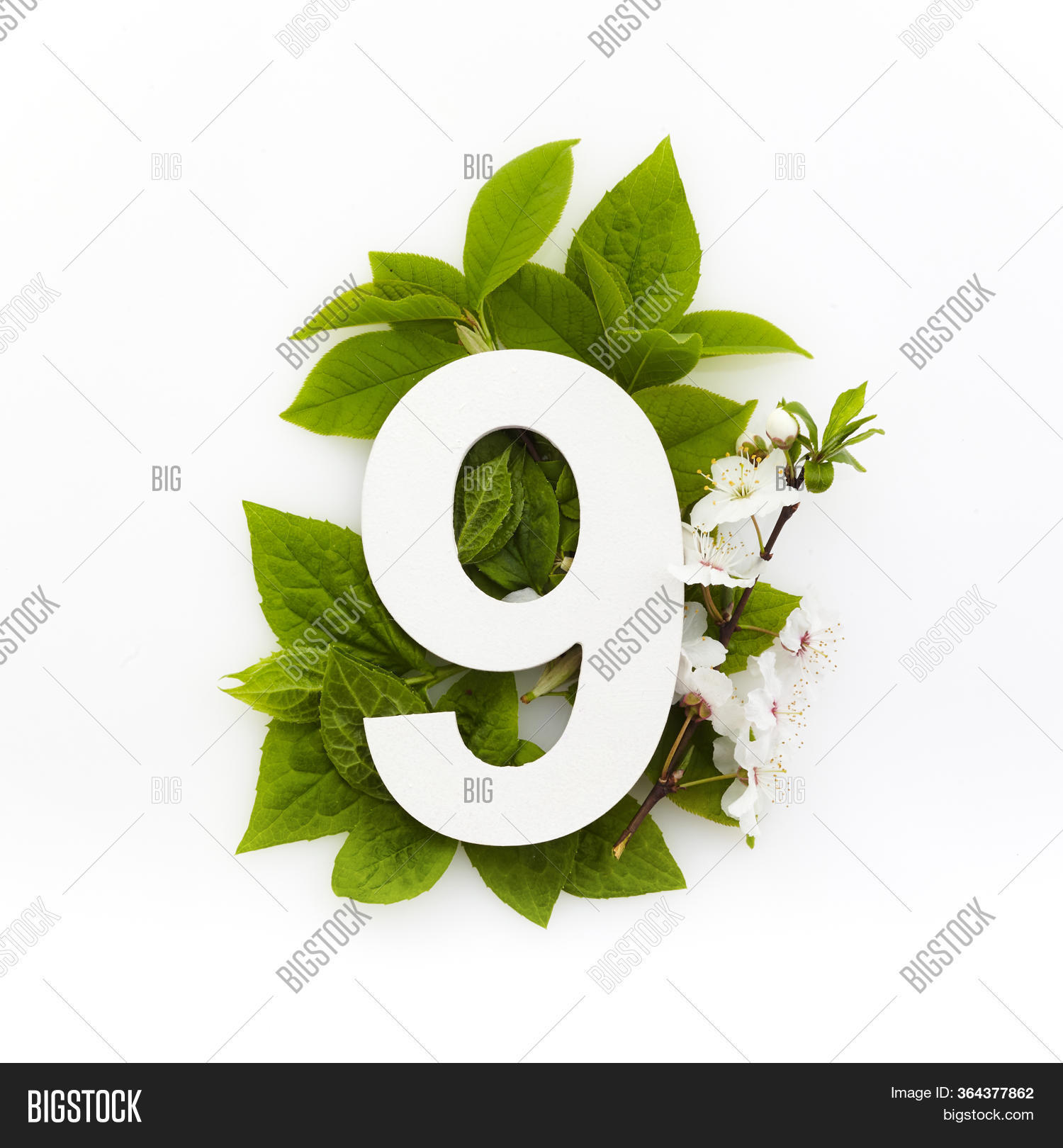 Number Nine Green Image & Photo (Free Trial) | Bigstock