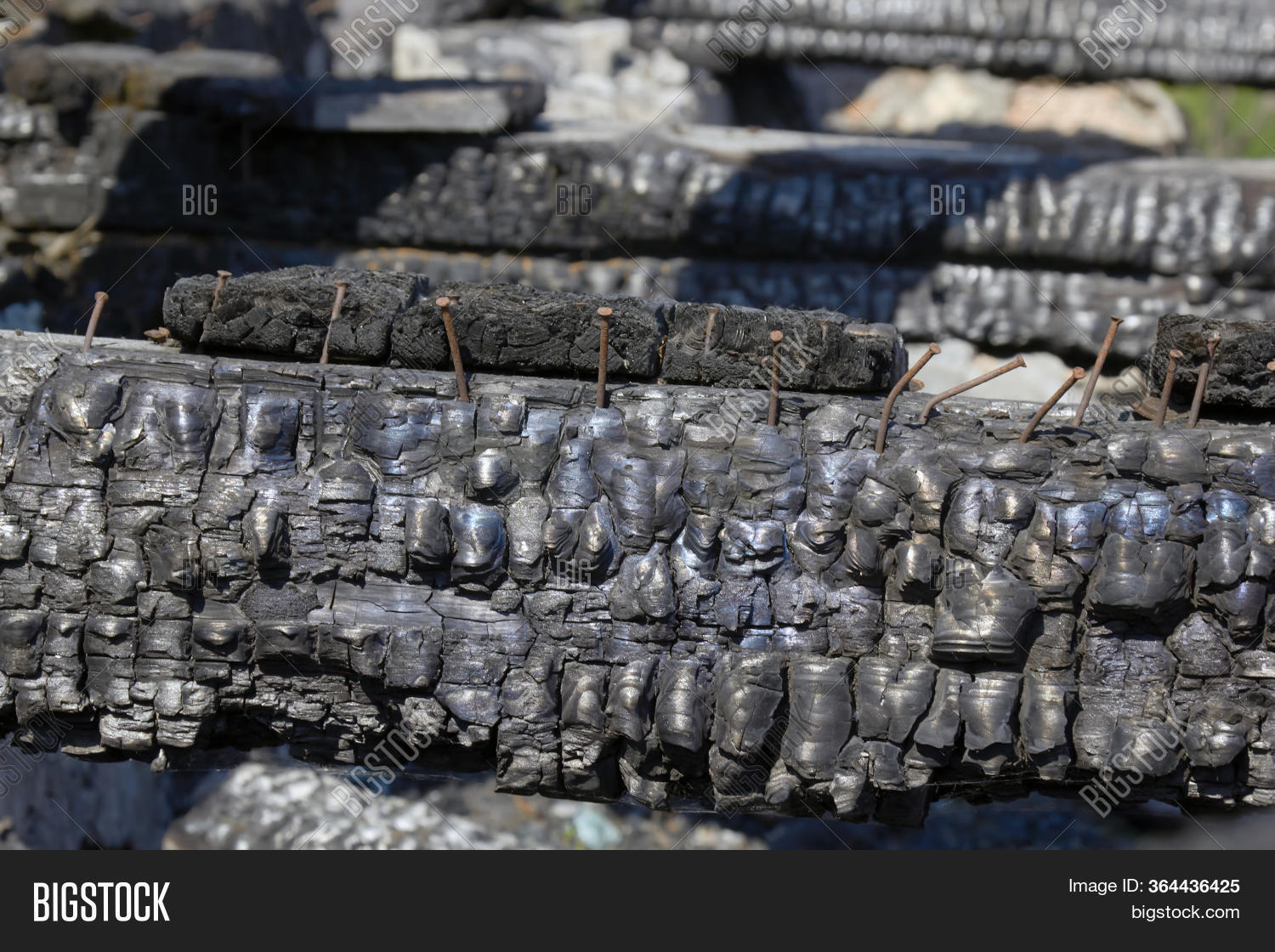 Texture Charred Wood Image & Photo (Free Trial) | Bigstock