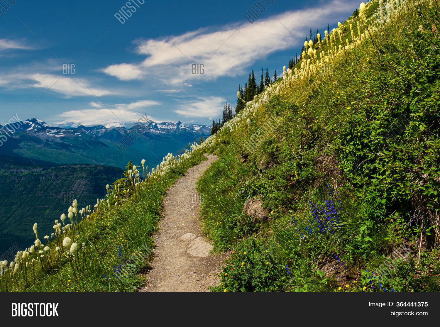 2446_distant View Image & Photo (Free Trial) | Bigstock