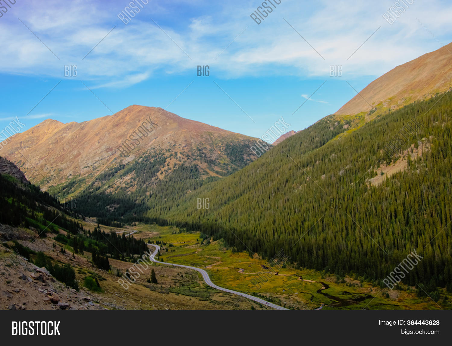 Beautifull Pine Trees Image & Photo (Free Trial) | Bigstock