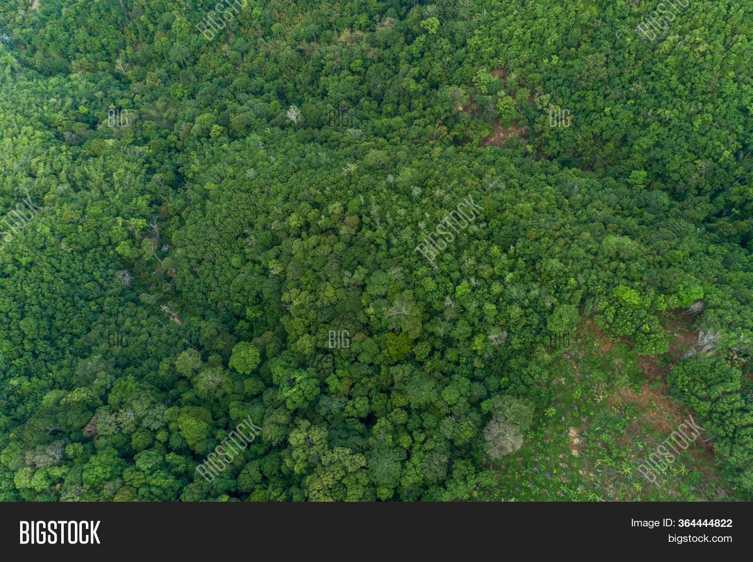 Aerial View Drone Image & Photo (Free Trial) | Bigstock