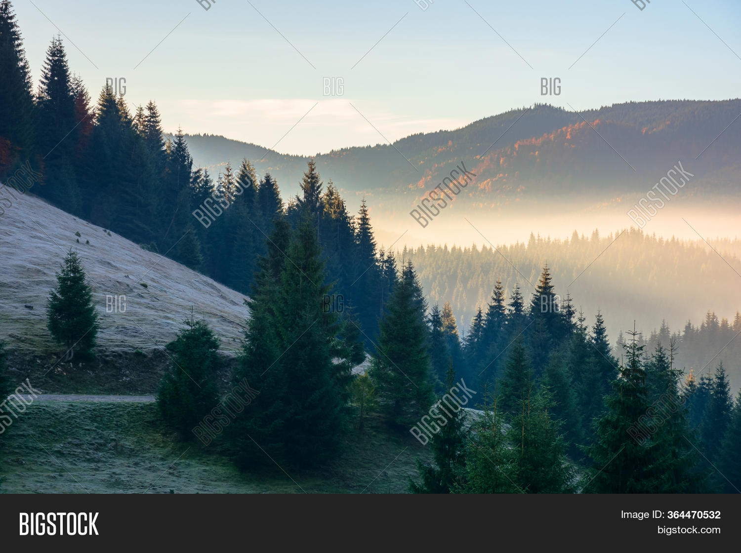 Forest Landscape Fog. Image & Photo (Free Trial) | Bigstock
