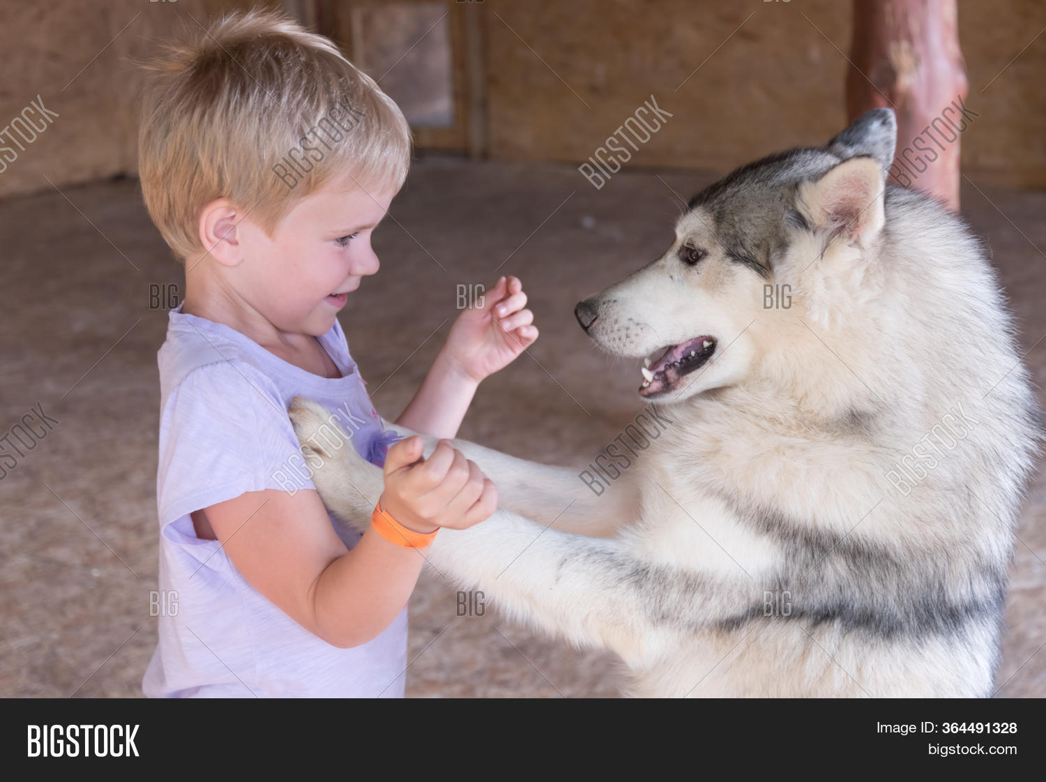 Dog Child Look Into Image & Photo (Free Trial) | Bigstock