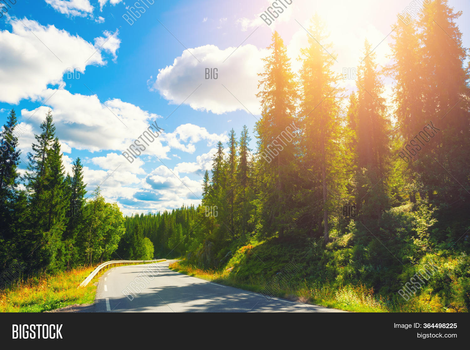 Road Summer Forest Image & Photo (Free Trial) | Bigstock
