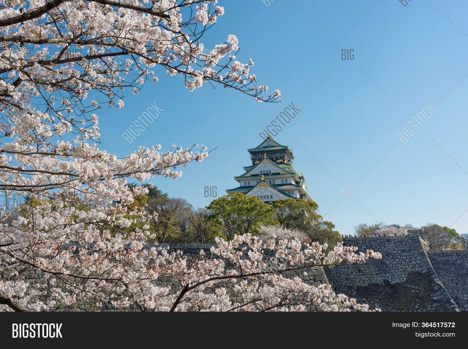 Beautiful Osaka Castle Image & Photo (Free Trial) | Bigstock