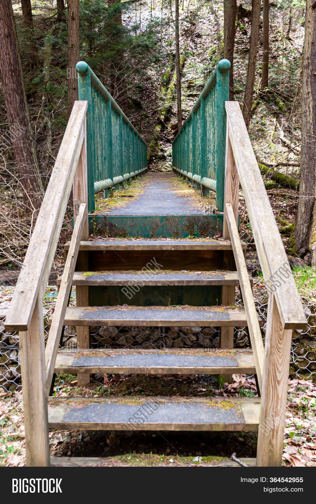 Wooden Steps Leading Image & Photo (Free Trial) | Bigstock