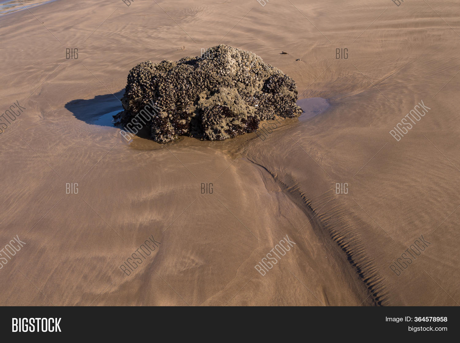 Wet Structured Sand Image & Photo (Free Trial) | Bigstock