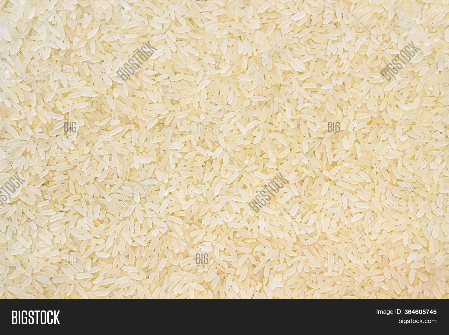 Layer Rice Grits. Food Image & Photo (Free Trial) | Bigstock