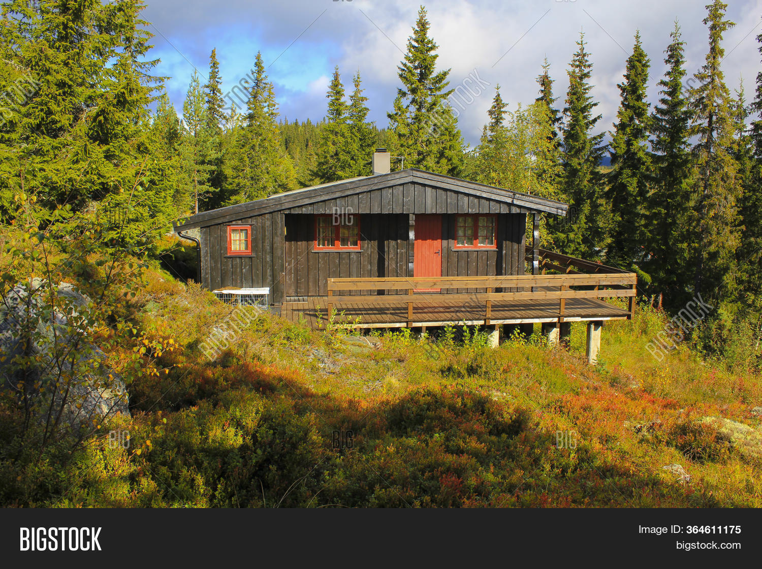 Lonely Cottage Image & Photo (Free Trial) | Bigstock