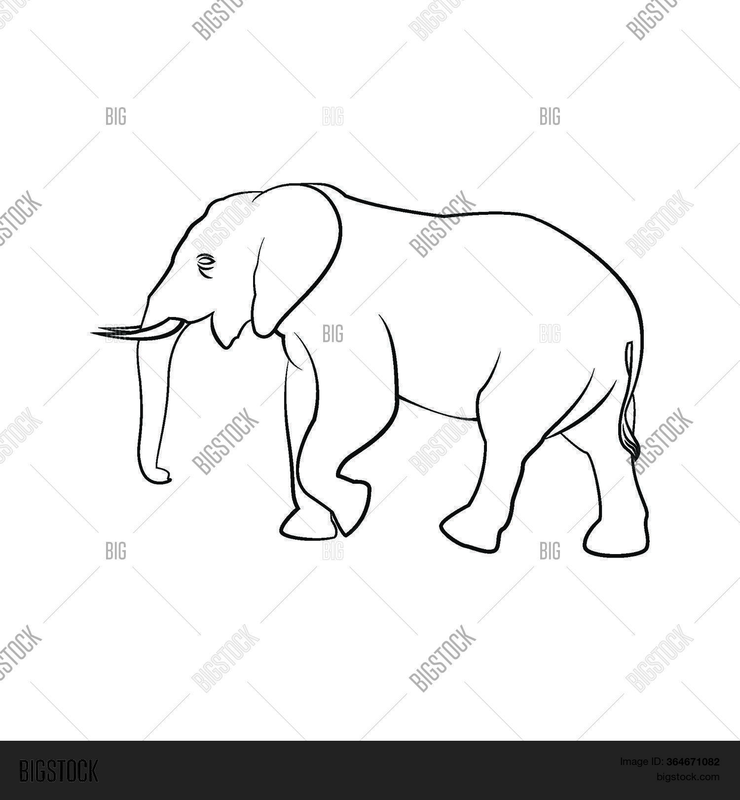 Walking Big Elephant Vector & Photo (Free Trial) | Bigstock