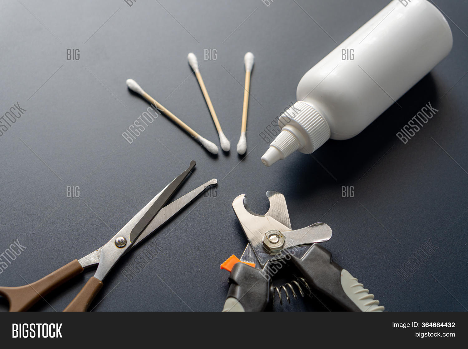 Basic Tools Dogs, Cats Image & Photo (Free Trial) | Bigstock