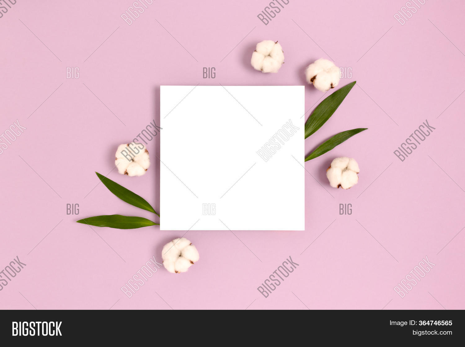 Square Paper Card Image & Photo (Free Trial) | Bigstock