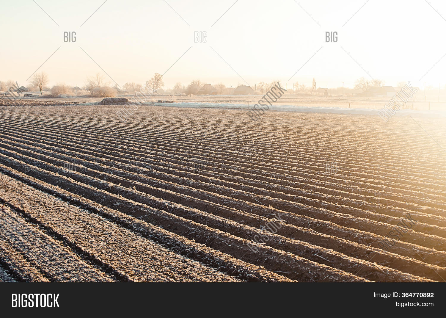 Winter Farm Field Image & Photo (Free Trial) | Bigstock
