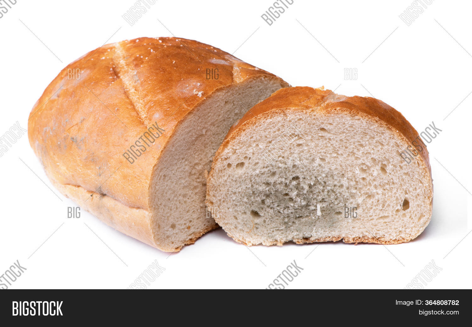 Piece Moldy Bread Image & Photo (Free Trial) | Bigstock