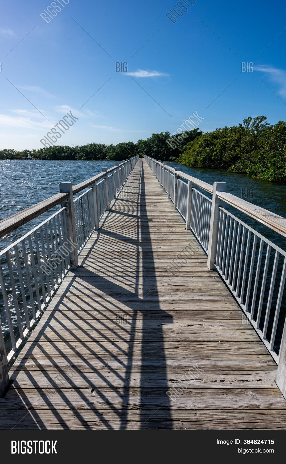 Looking Down Long Image & Photo (Free Trial) | Bigstock