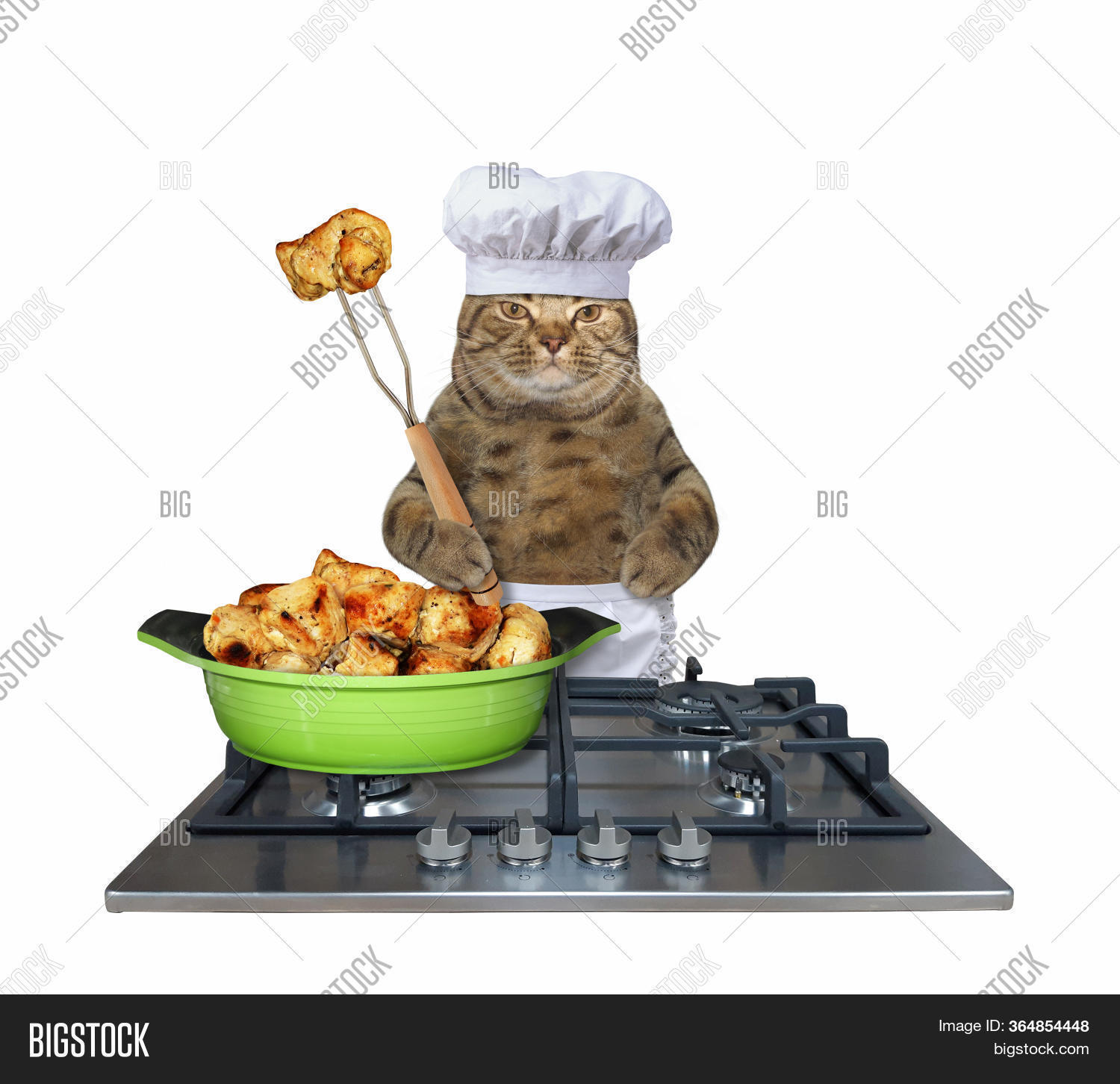 Beige Cat Chef Hat Image & Photo (Free Trial) | Bigstock