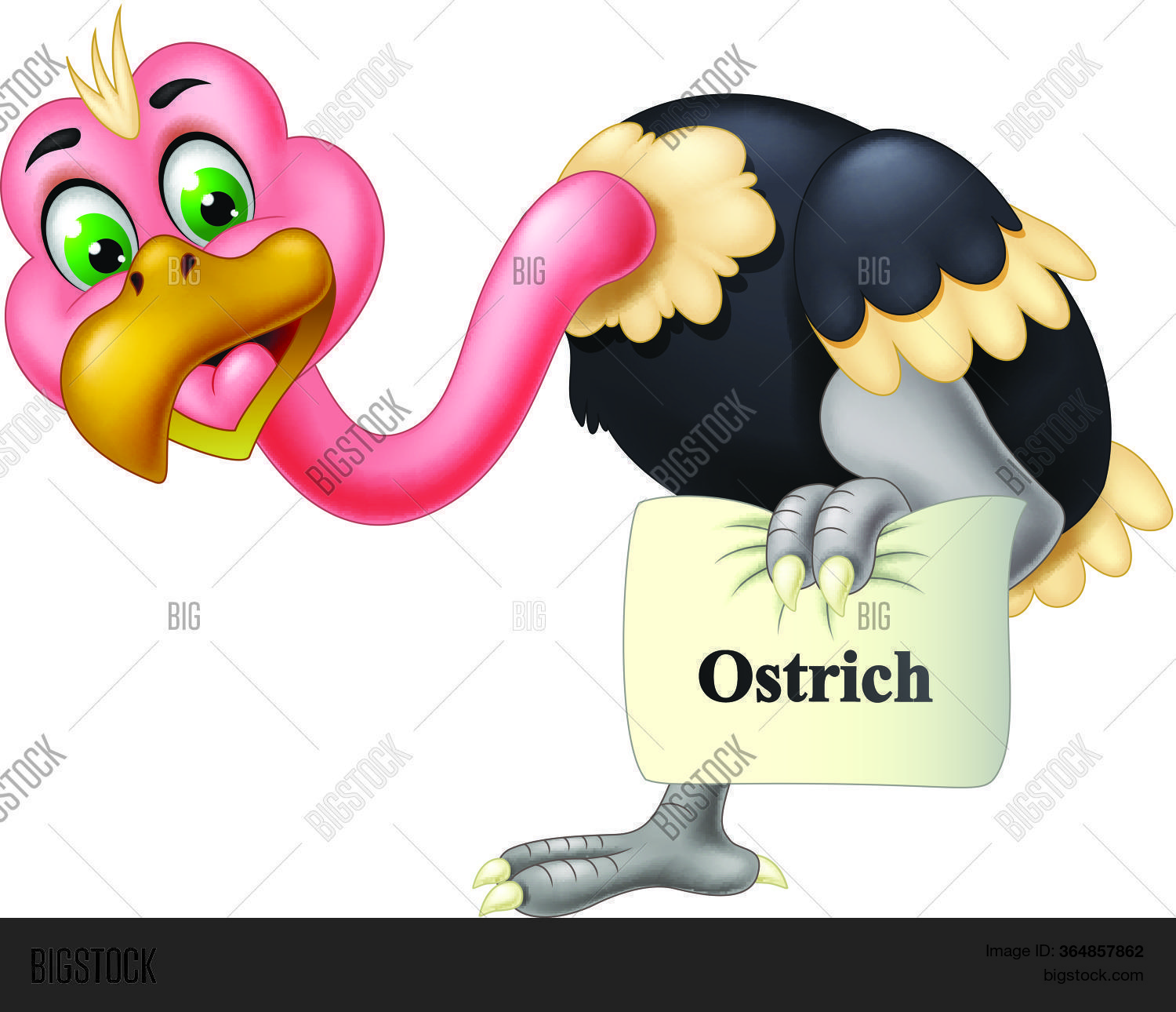 Ostrich Bird Cartoon Vector & Photo (Free Trial) | Bigstock