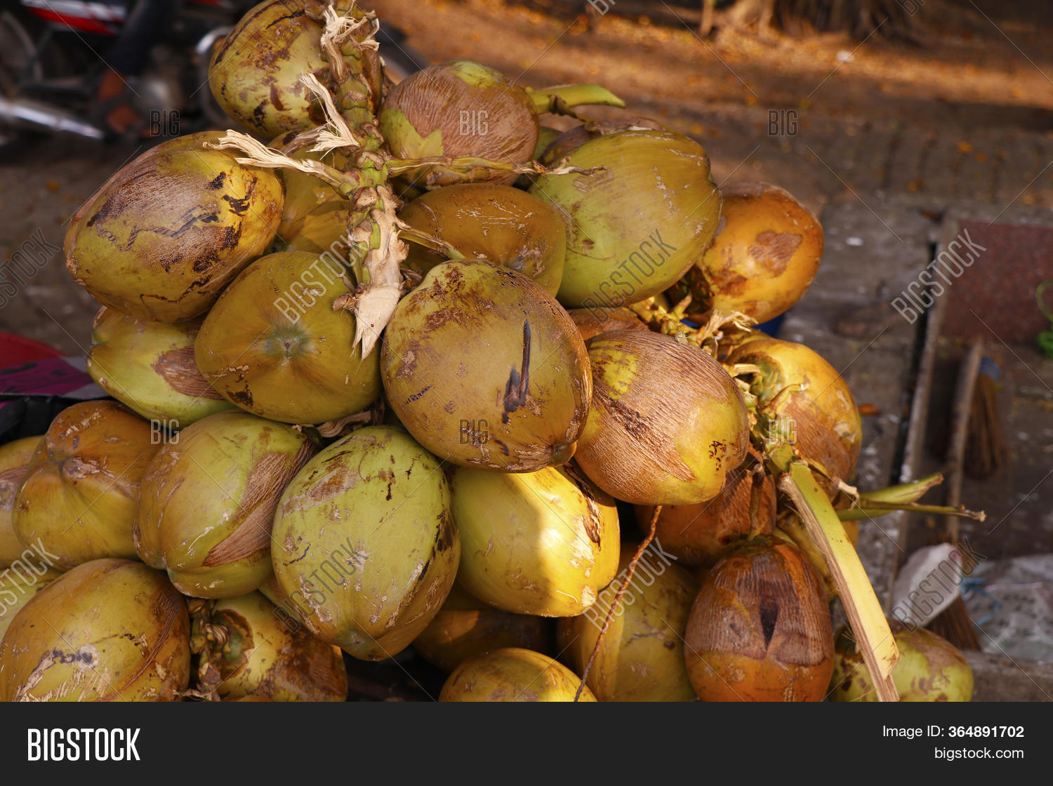 Bunch Tender Coconuts Image & Photo (Free Trial) | Bigstock