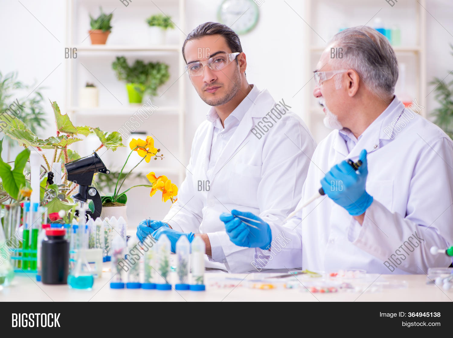 Two Chemists Working Image & Photo (Free Trial) | Bigstock