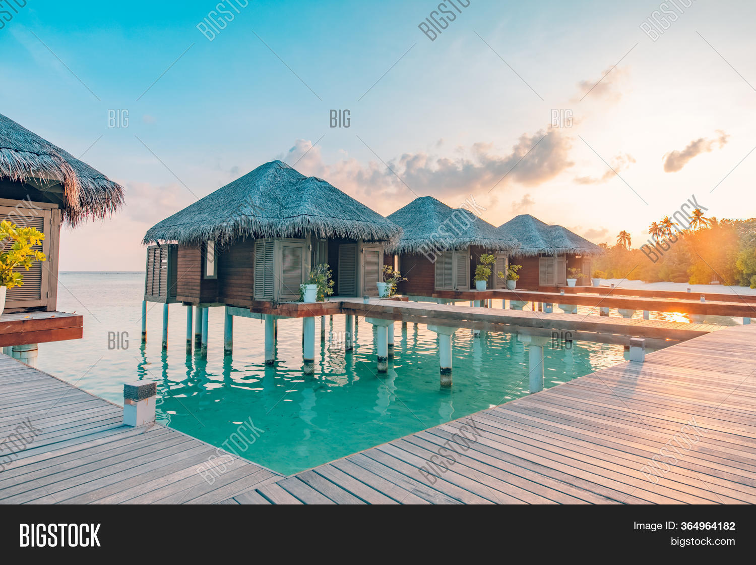Beautiful Poolside Image & Photo (Free Trial) | Bigstock