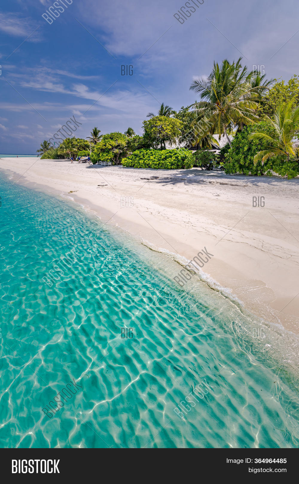 Vertical Beach Image & Photo (Free Trial) | Bigstock