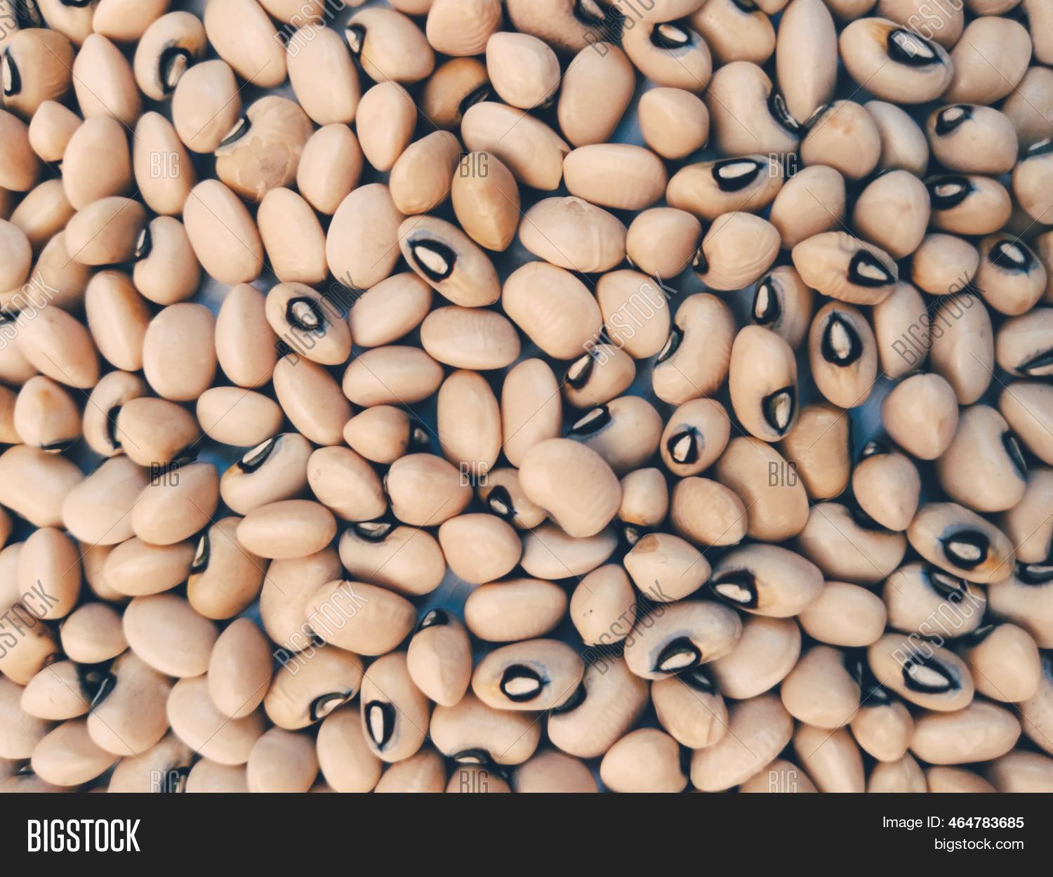 Cowpea Blackeyed Pea Image & Photo (Free Trial) | Bigstock