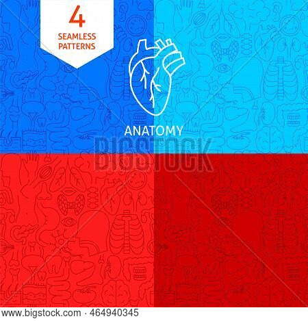 Line Anatomy Patterns Vector & Photo (Free Trial) | Bigstock