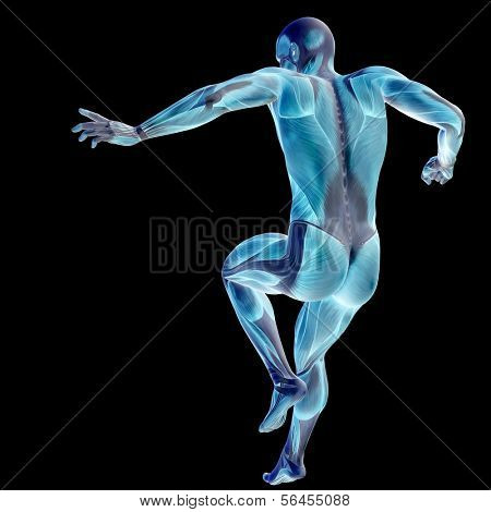 3D Human Man Muscles Image & Photo (Free Trial) | Bigstock