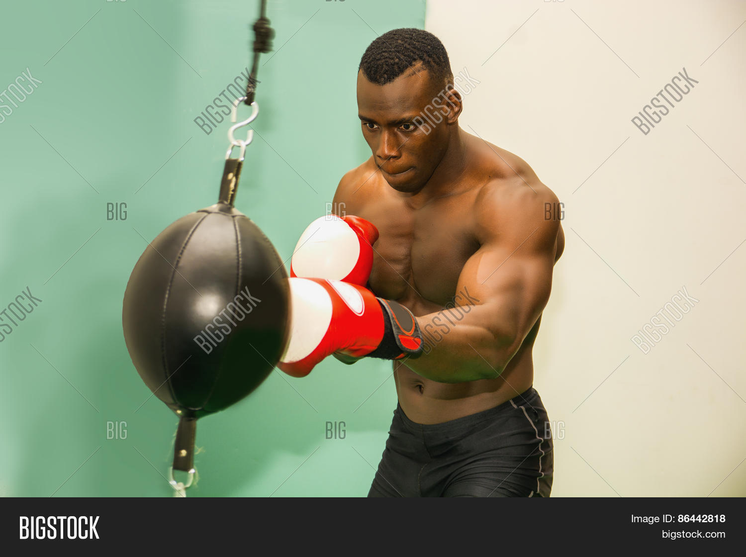African Male Boxer Image & Photo (Free Trial) | Bigstock