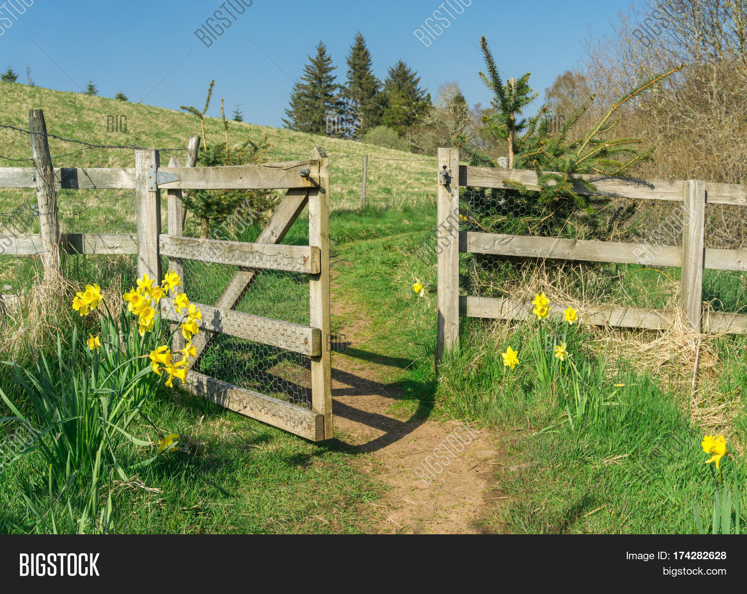 Hiking Trail Through Image & Photo (Free Trial) | Bigstock