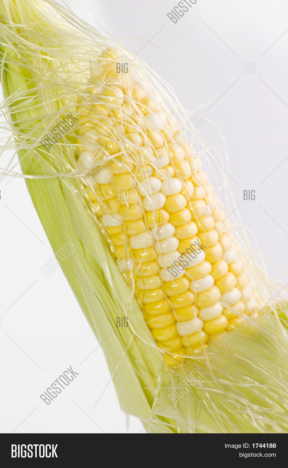 Corn Image & Photo (Free Trial) | Bigstock