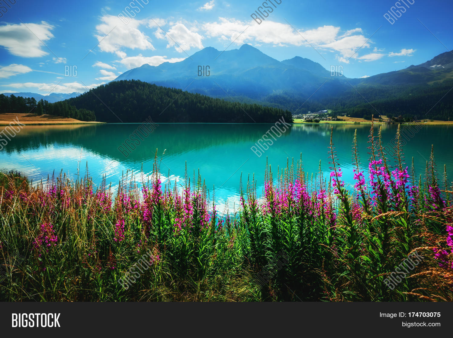 Amazing Sunny Day Image & Photo (Free Trial) | Bigstock