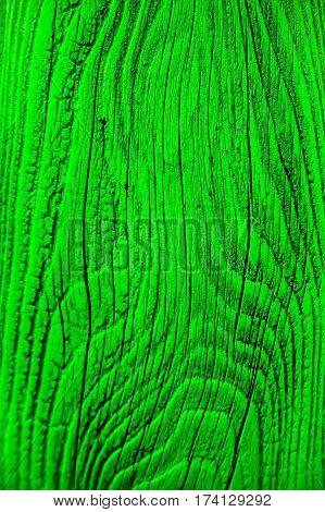 Imagen y foto Green Filter - (prueba gratis) | Bigstock