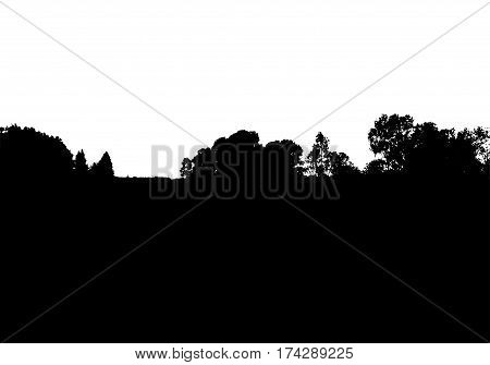 Black Forest Vector & Photo (Free Trial) | Bigstock