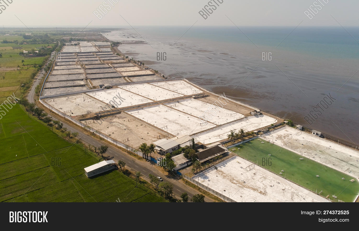 Shrimp Farm, Prawn Image & Photo (Free Trial) | Bigstock