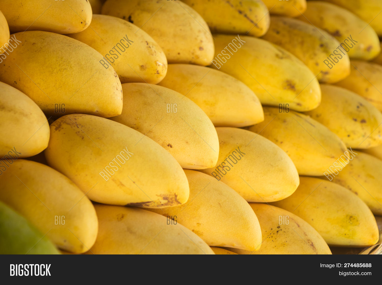 Yellow Mango Image & Photo (Free Trial) | Bigstock